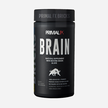 BRAIN – Primal FX