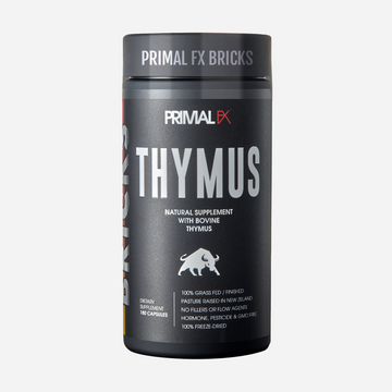 Bricks – Primal FX