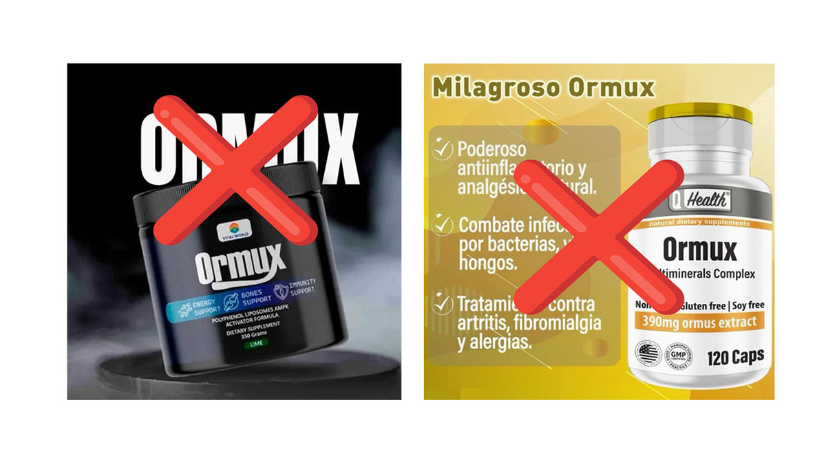 Seguridad – Primal FX