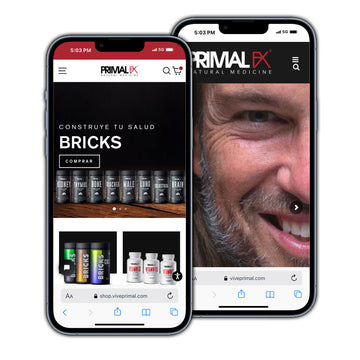 Seguridad – Primal FX