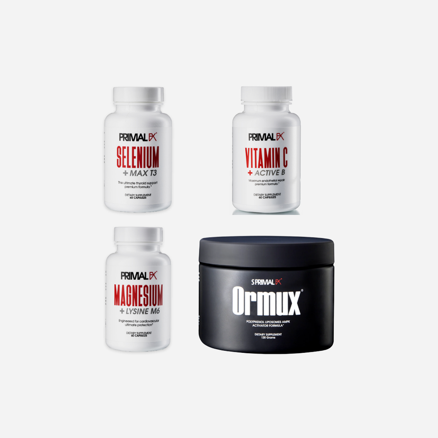 Protocolos – Página 2 – Primal FX