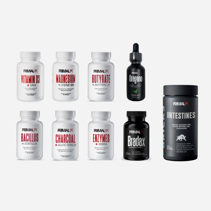 Protocolos – Página 2 – Primal FX