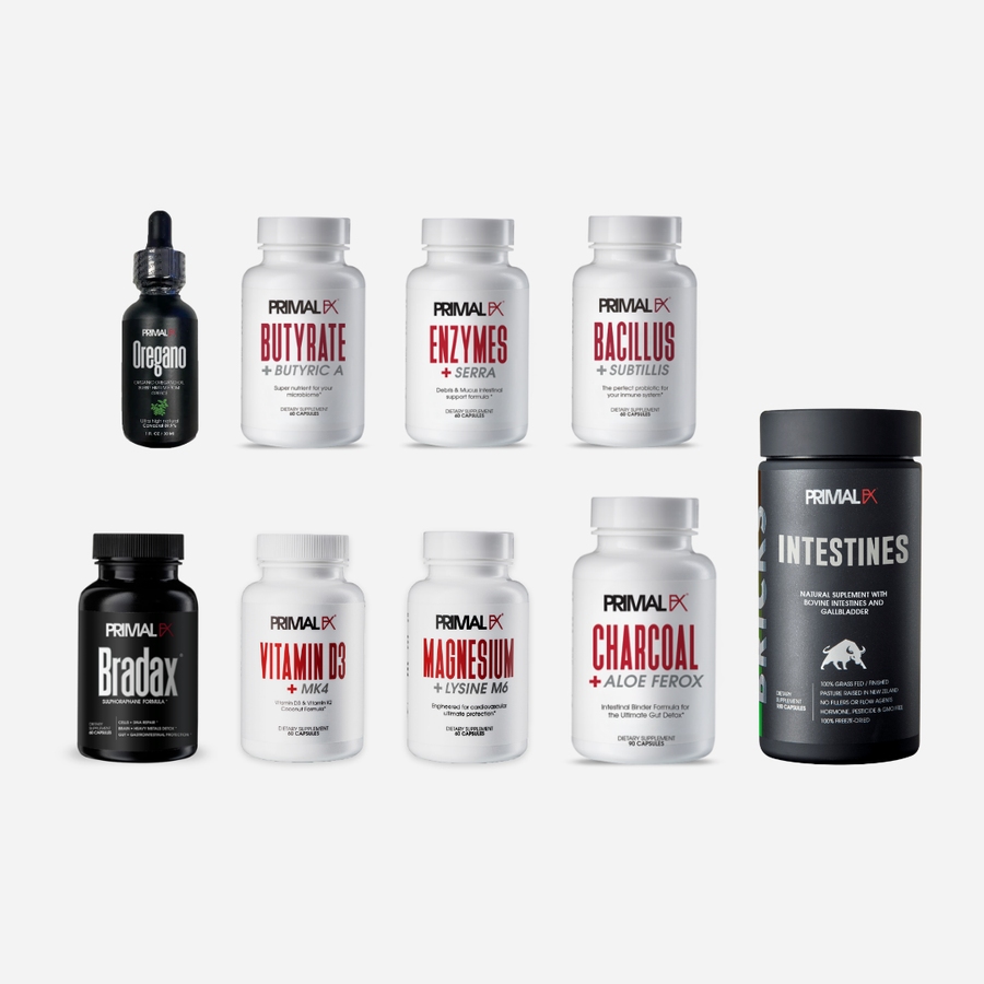 Protocolos – Primal FX